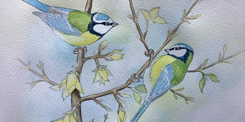 Castle Park Arts Centre Exhibitions